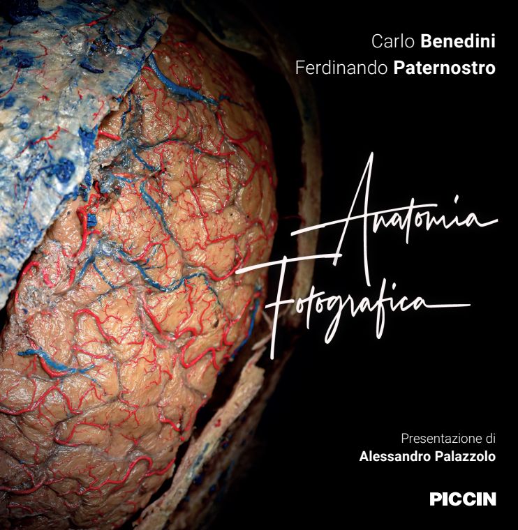 ANATOMIA FOTOGRAFICA | Ferdinando Paternostro