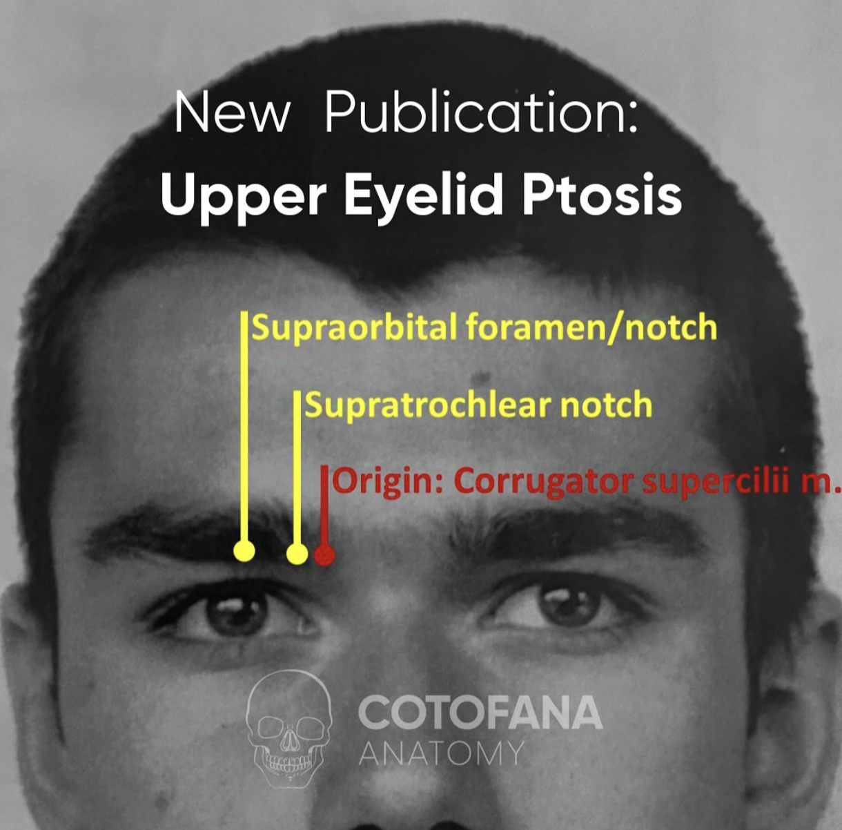 Ferdinando Paternostro