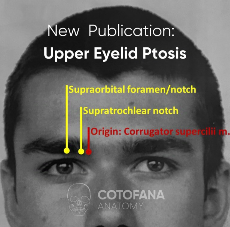 Ferdinando Paternostro